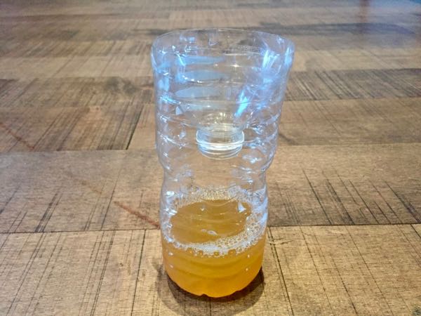Homemade Fruit Fly Trap - How To Make Your Own