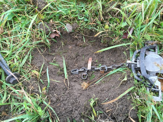 Dirt Hole Set - Trapping Fox And Coyotes