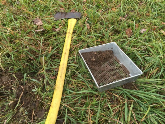 Dirt Hole Set - Trapping Fox And Coyotes