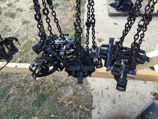 Dyeing And Waxing Traps - Using Logwood Dye